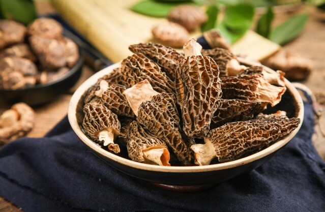 羊肚菌功效與食譜處理清洗浸發方法有助增強免疫力